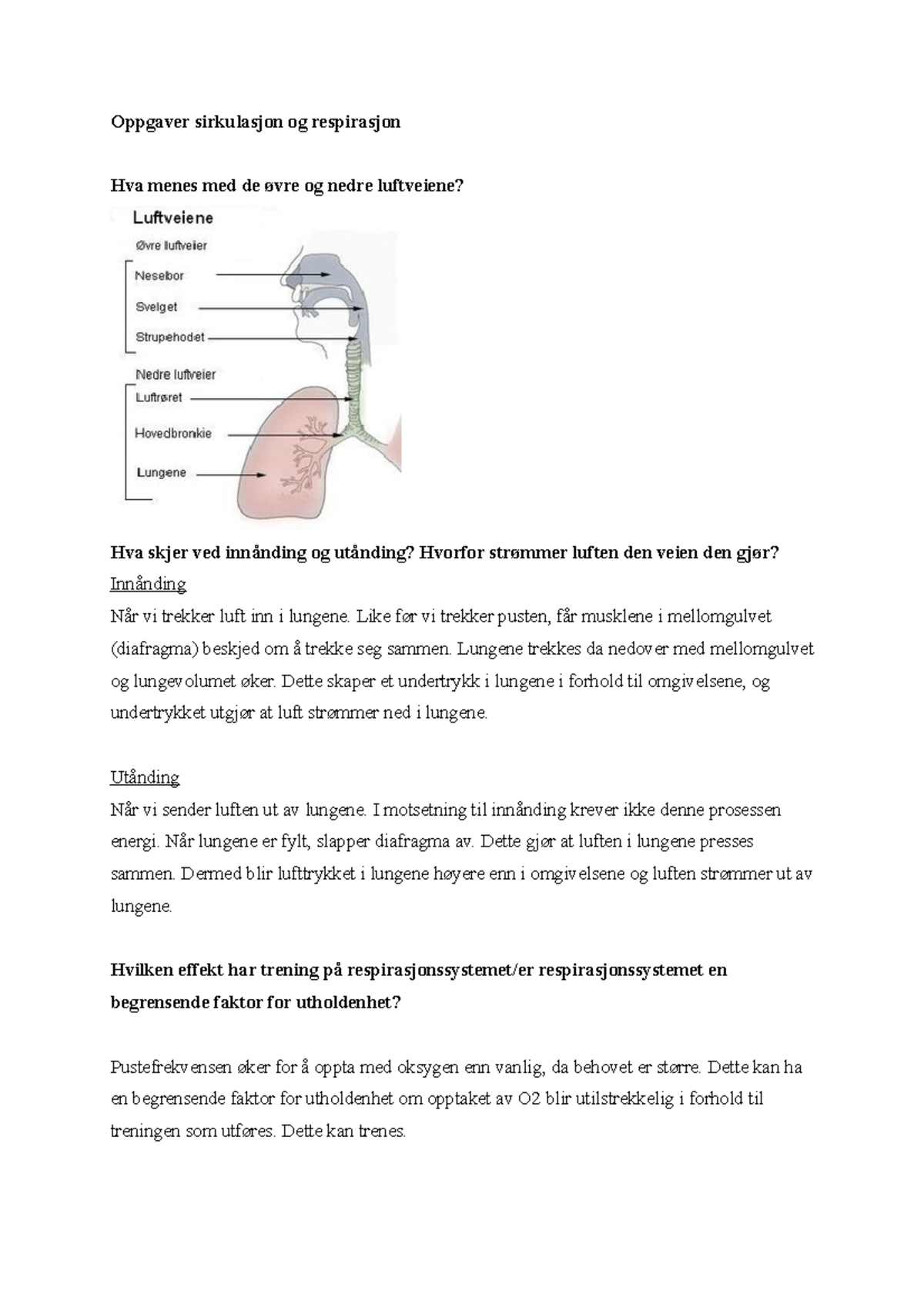 Oppgaver sirkulasjon og respirasjon - Like før vi trekker pusten, får ...