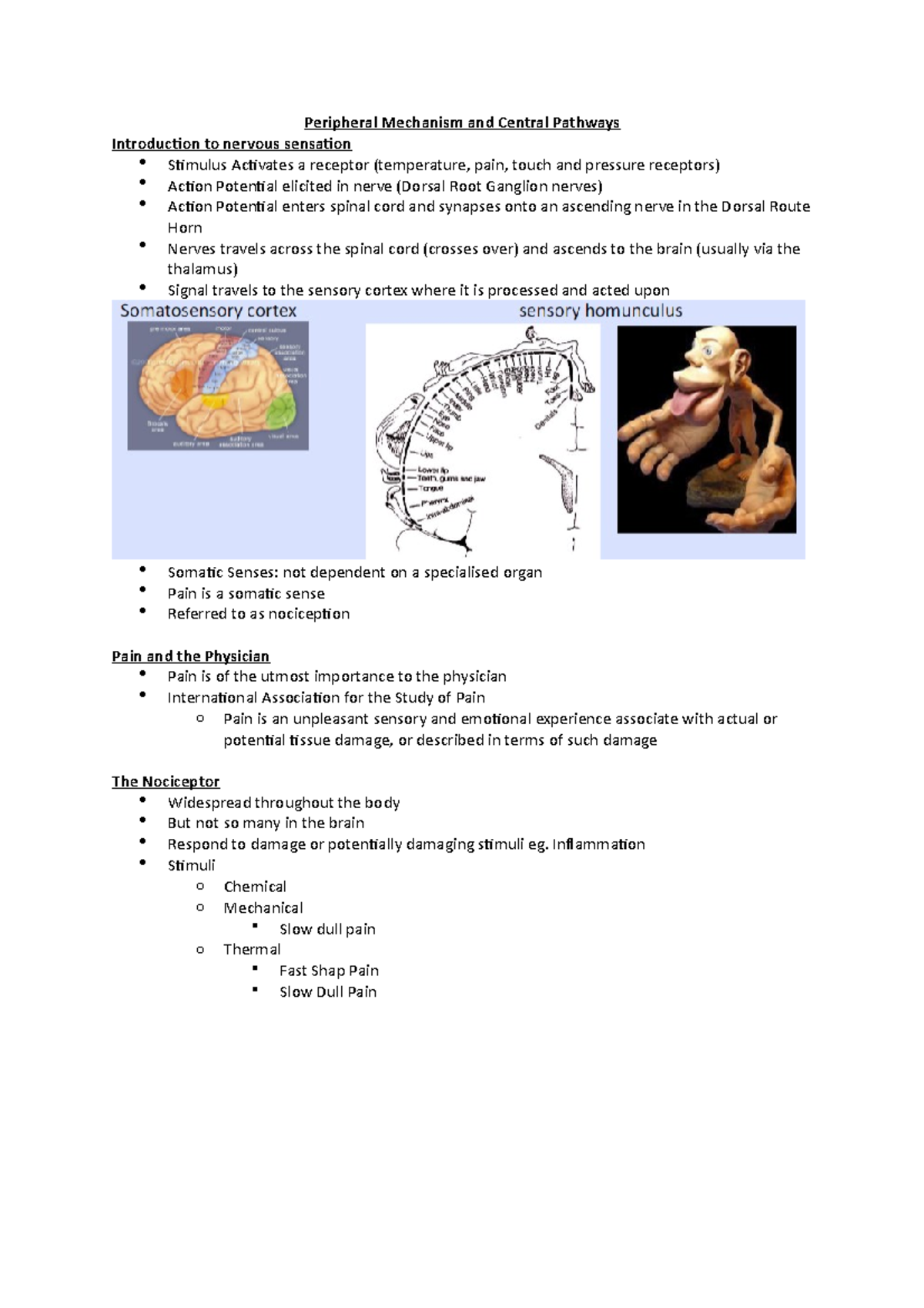 Peripheral Mechanism and Central Pathways - Peripheral Mechanism and ...