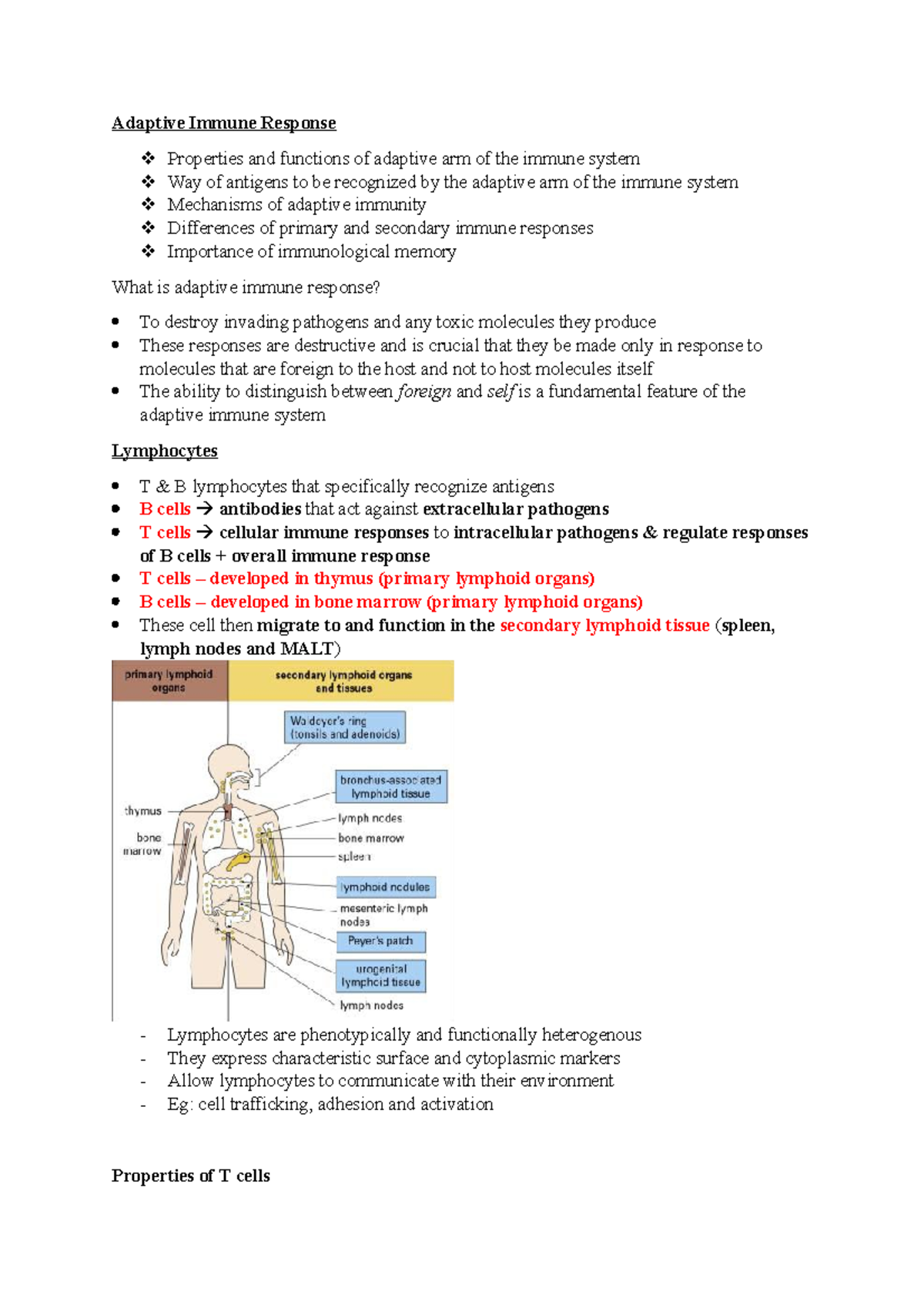 Adaptive Immune Response - notes - Adaptive Immune Response Properties ...