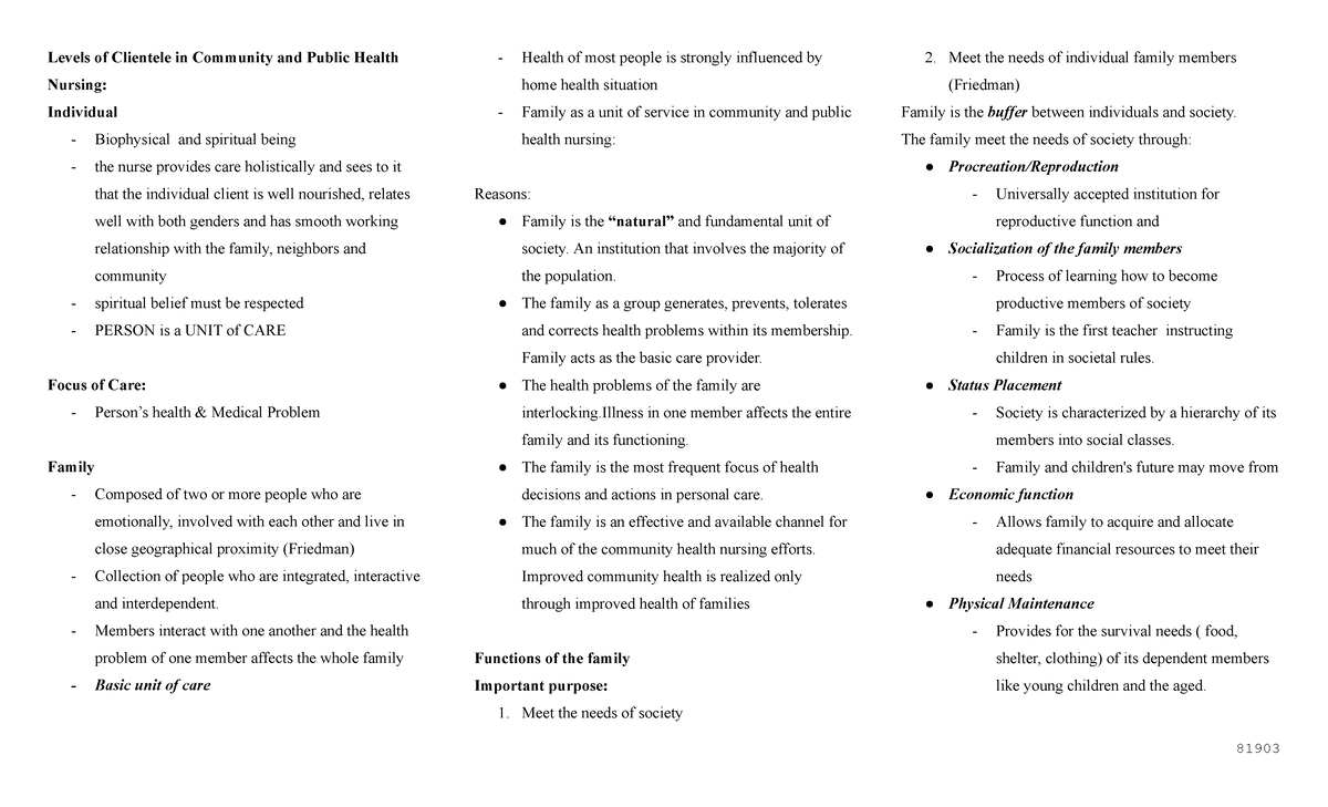 CHN Family - goodluck - Levels of Clientele in Community and Public ...