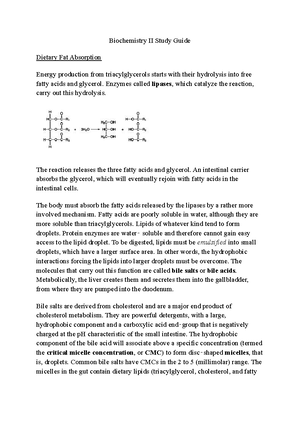 9 Proteins And Protein Structure Worksheet Name