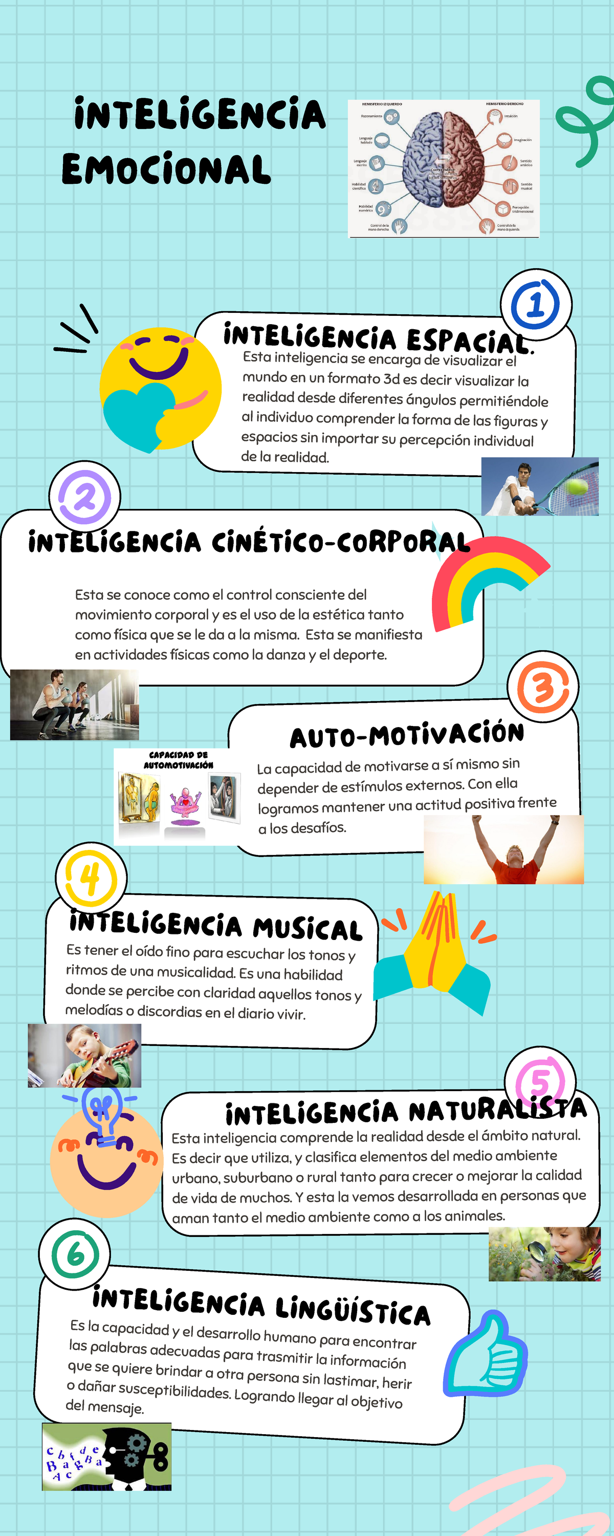 Infografía inteligencias - INTELIGENCIA CINÉTICO-CORPORAL Esta se ...