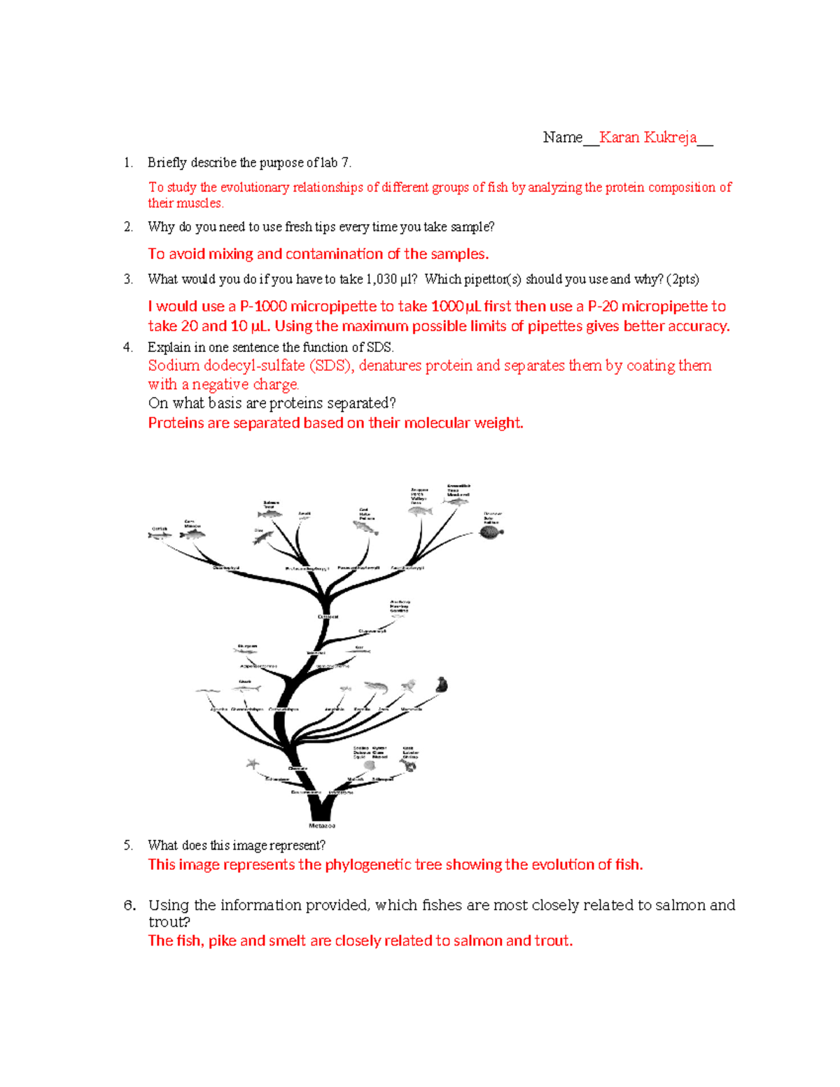 Assignment lab7 - Name__Karan Kukreja__ 1. Briefly describe the purpose ...