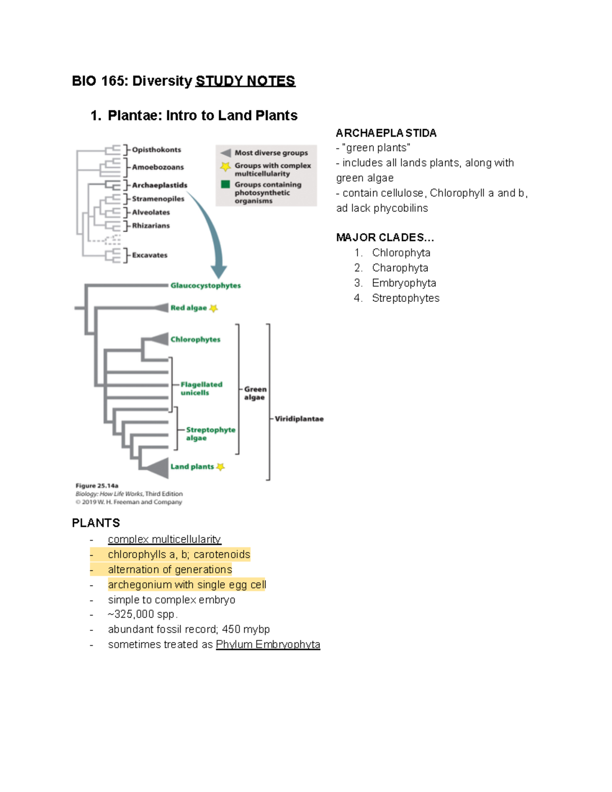 BIO 165: Diversity NOTES 1. Plantae: Intro to Land Plants - Studocu