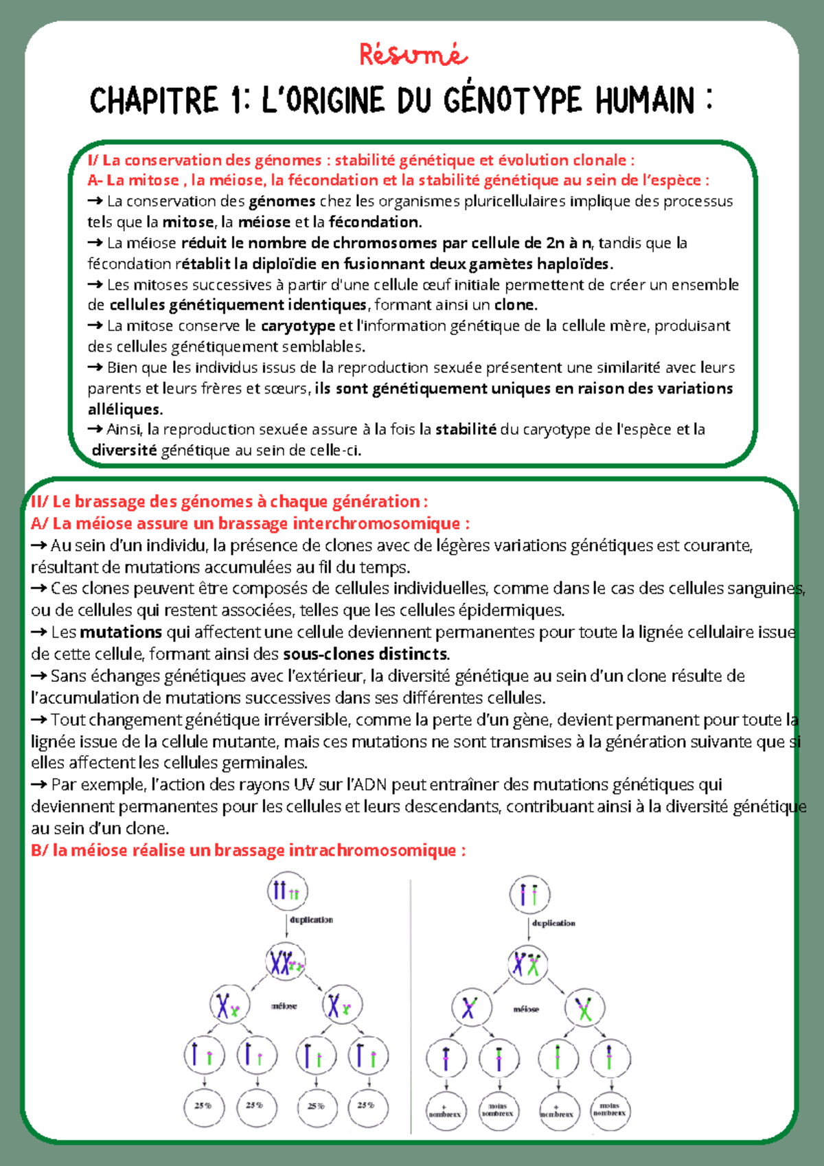 Génétique Résumé - CHAPITRE 1: L’ORIGINE DU GÉNOTYPE HUMAIN : Résumé I ...