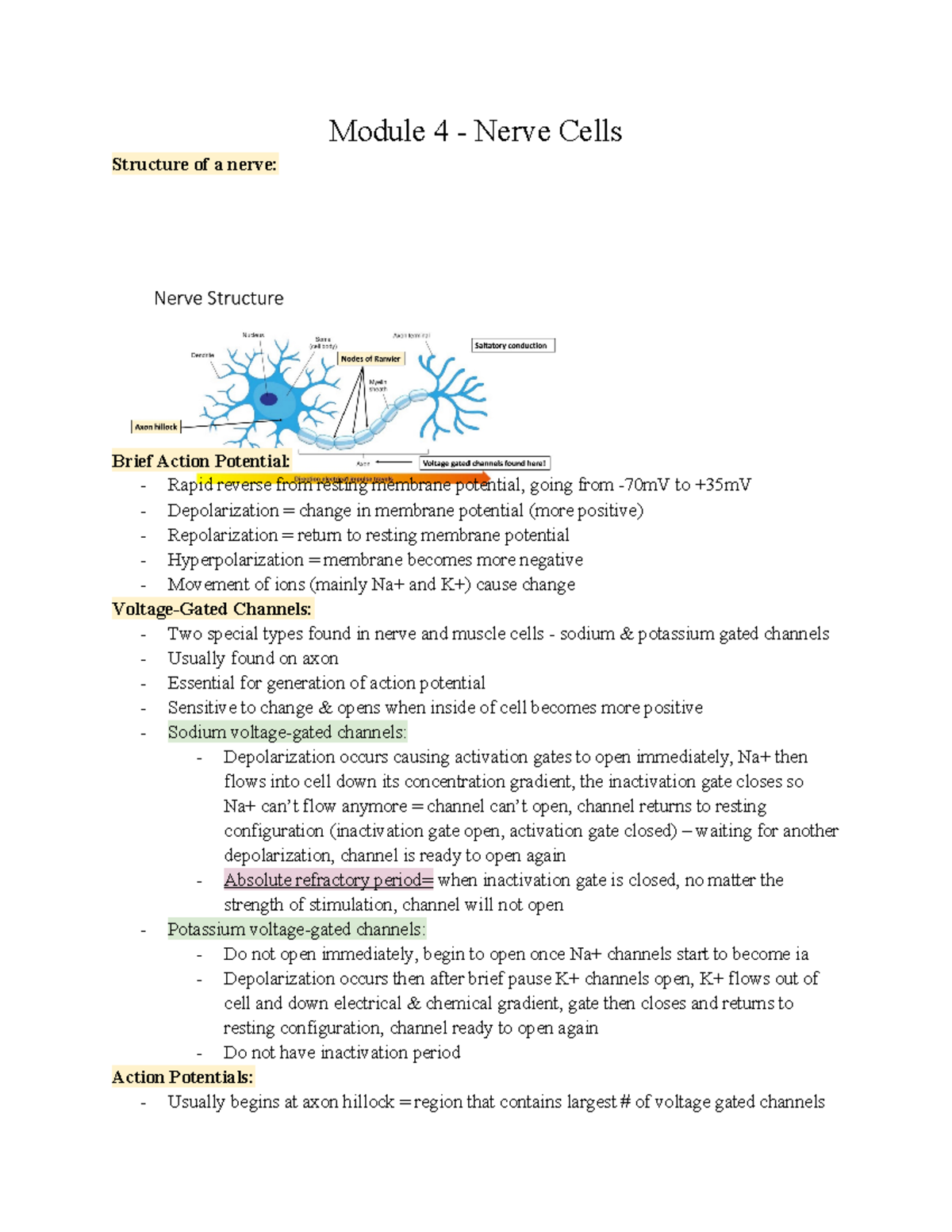 7039 Module 4 - Nerves - Module 4 - Nerve Cells Structure of a nerve: Brief Action Potential ...