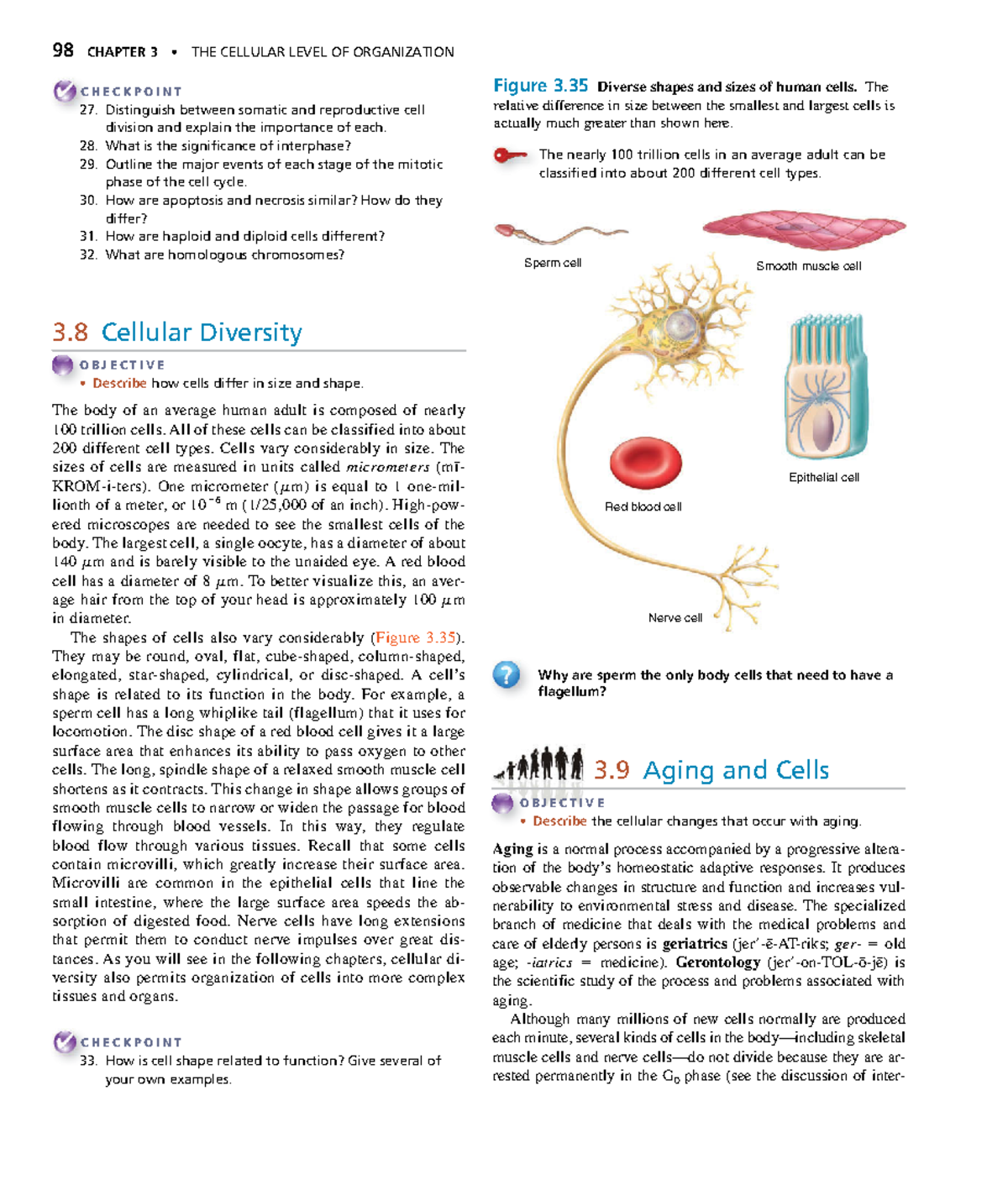 Anatomyand Physiology-44 - 98 CHAPTER 3 • THE CELLULAR LEVEL OF ...