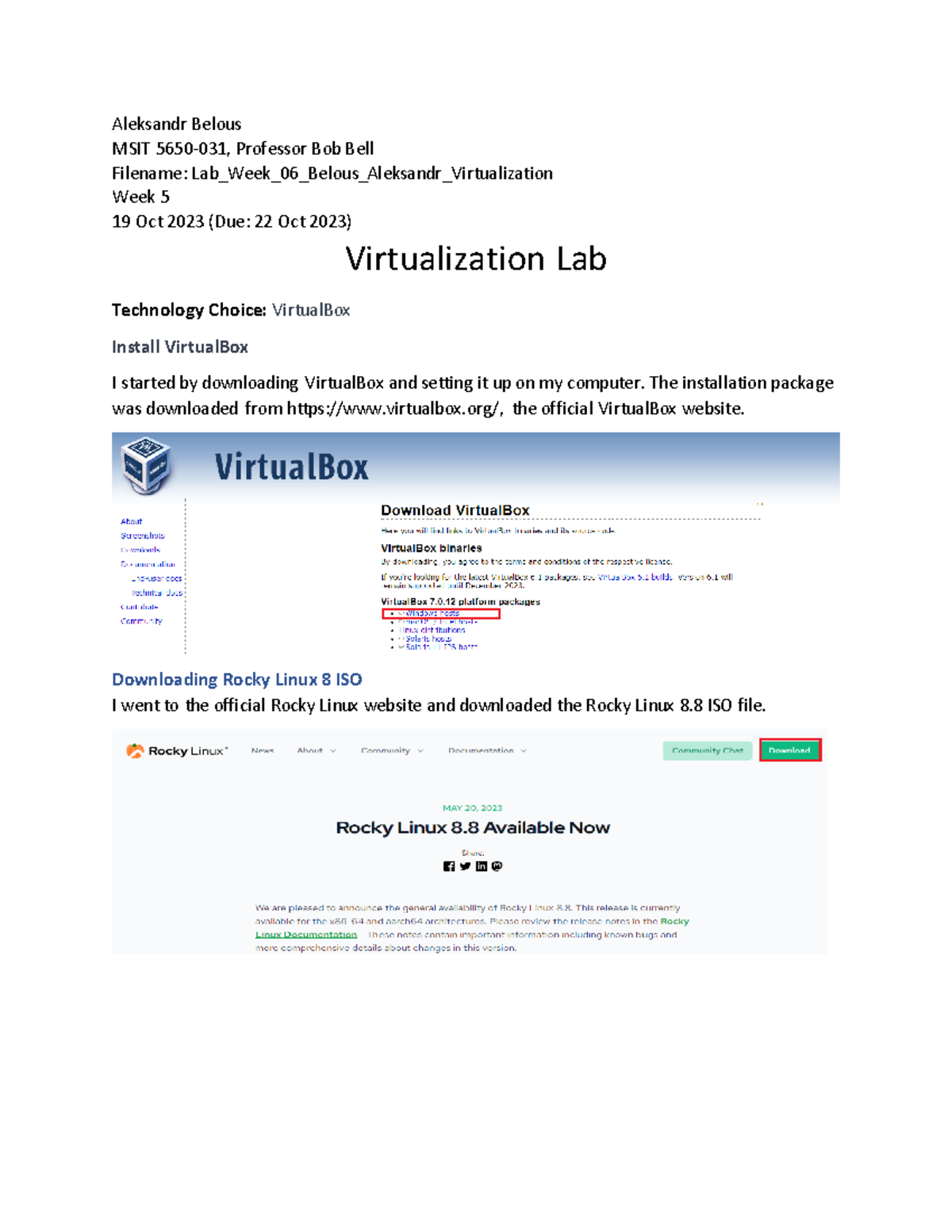 Lab Week 06 Belous Aleksandr Virtualization - Aleksandr Belous MSIT 5650-031, Professor Bob Bell ...
