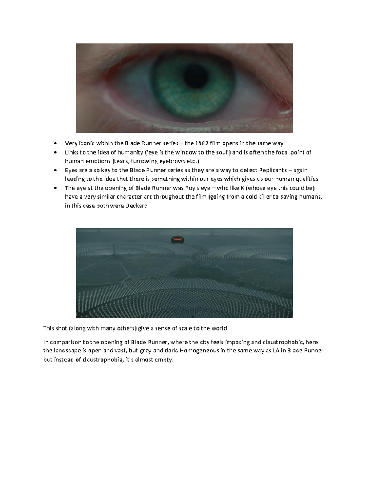 Blade Runner 2049 (2016) Cinematography Opening Notes - Very iconic ...