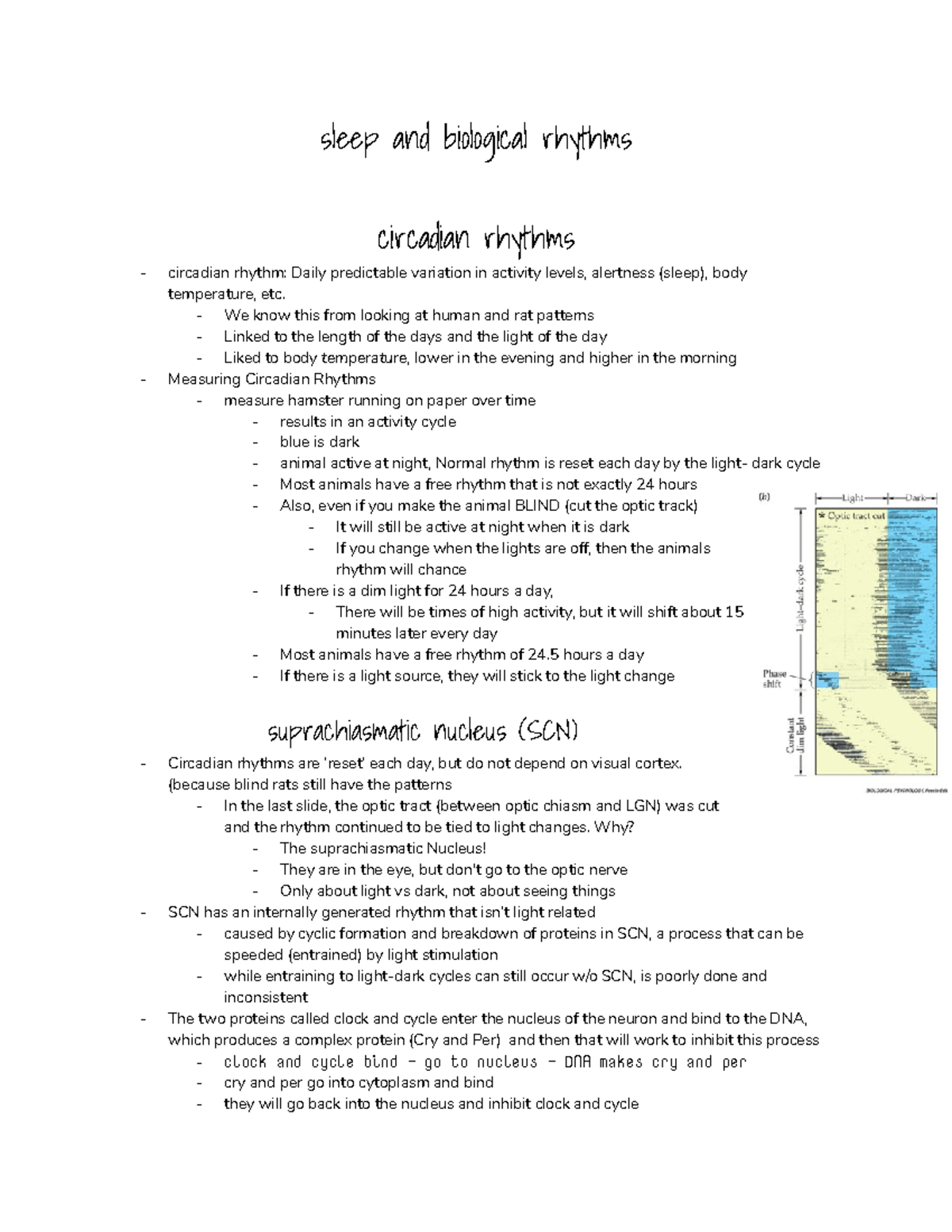 9. Sleep and Biological Rhythms - sleep and biological rhythms ...