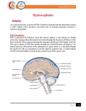 Tremor classification - central nervous system - Studocu