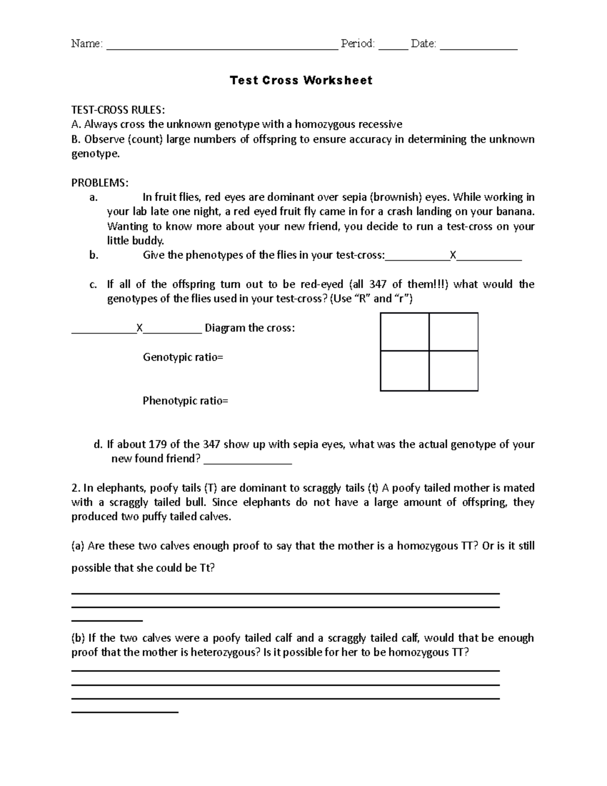 Test Cross Worksheet 3 - nothing - Name ...