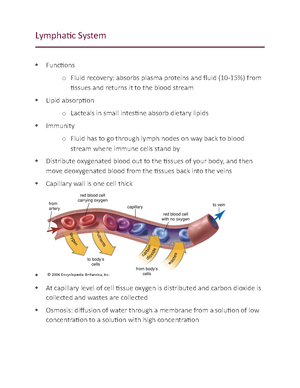Lymphatic System Review Guide - BIO-202 - GCU - Studocu