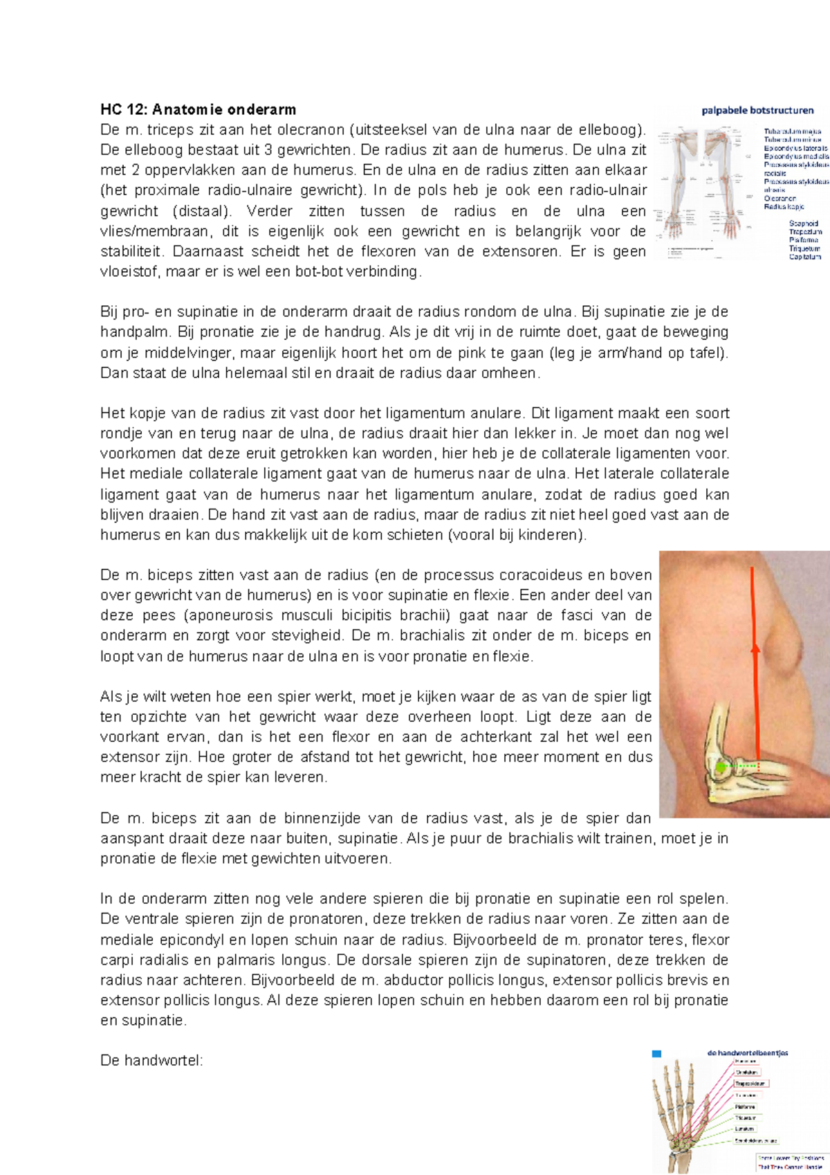 Colleges hand-, pols-, en elleboogklachten - HC 12: Anatomie onderarm ...