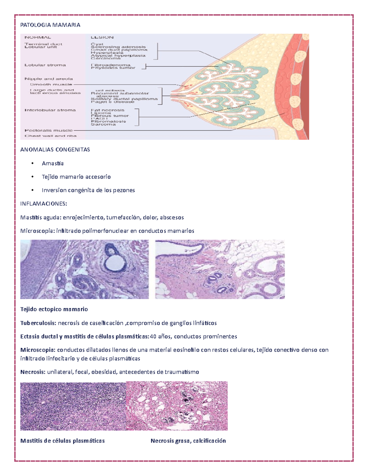 Patologia Mamaria - PATOLOGIA MAMARIA ANOMALIAS CONGENITAS Amastia ...