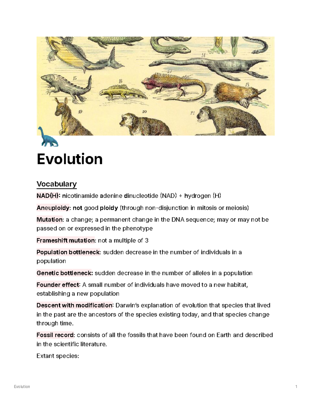 Evolution notes - 🦕 Evolution Vocabulary NAD H nicotinamide adenine ...