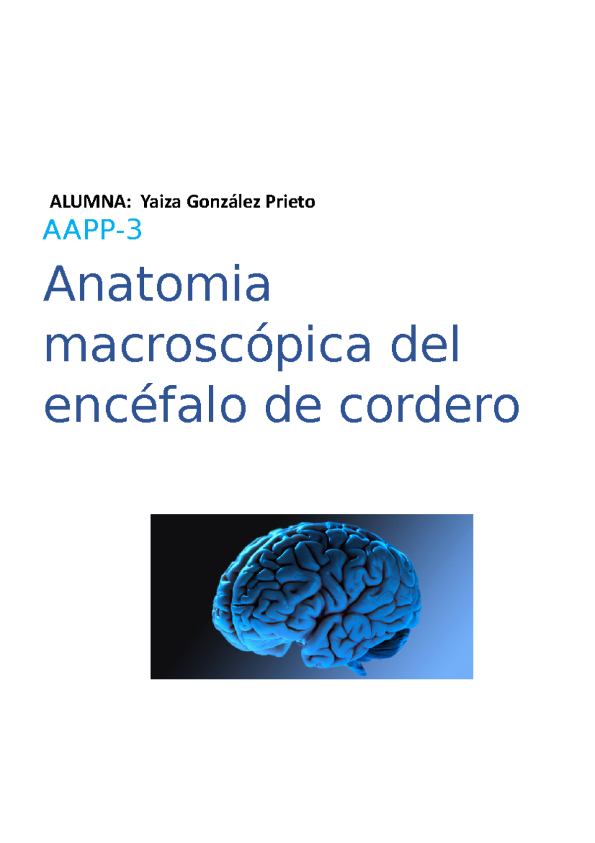 González Prieto, Yaiza- Diario de prácticas P3 - AAPP- Anatomia ...