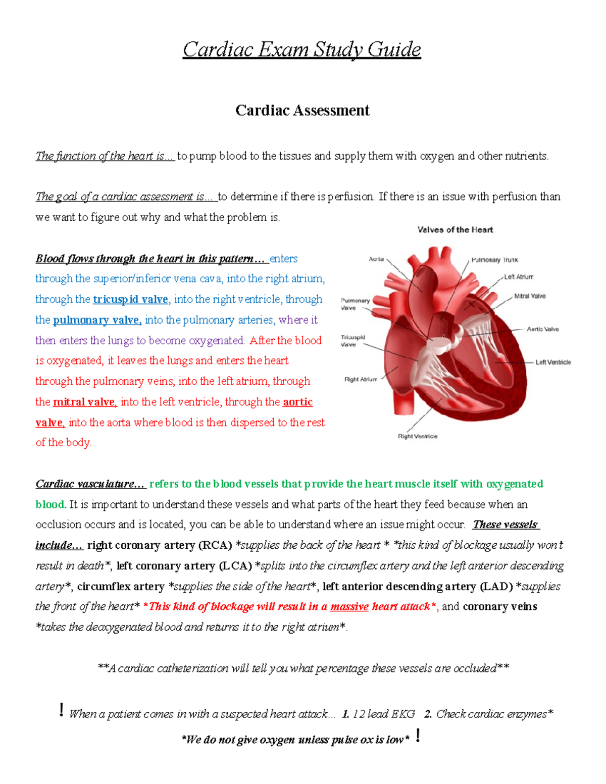 Cardiac Study Guide - Cardiac Exam Study Guide Cardiac Assessment The ...