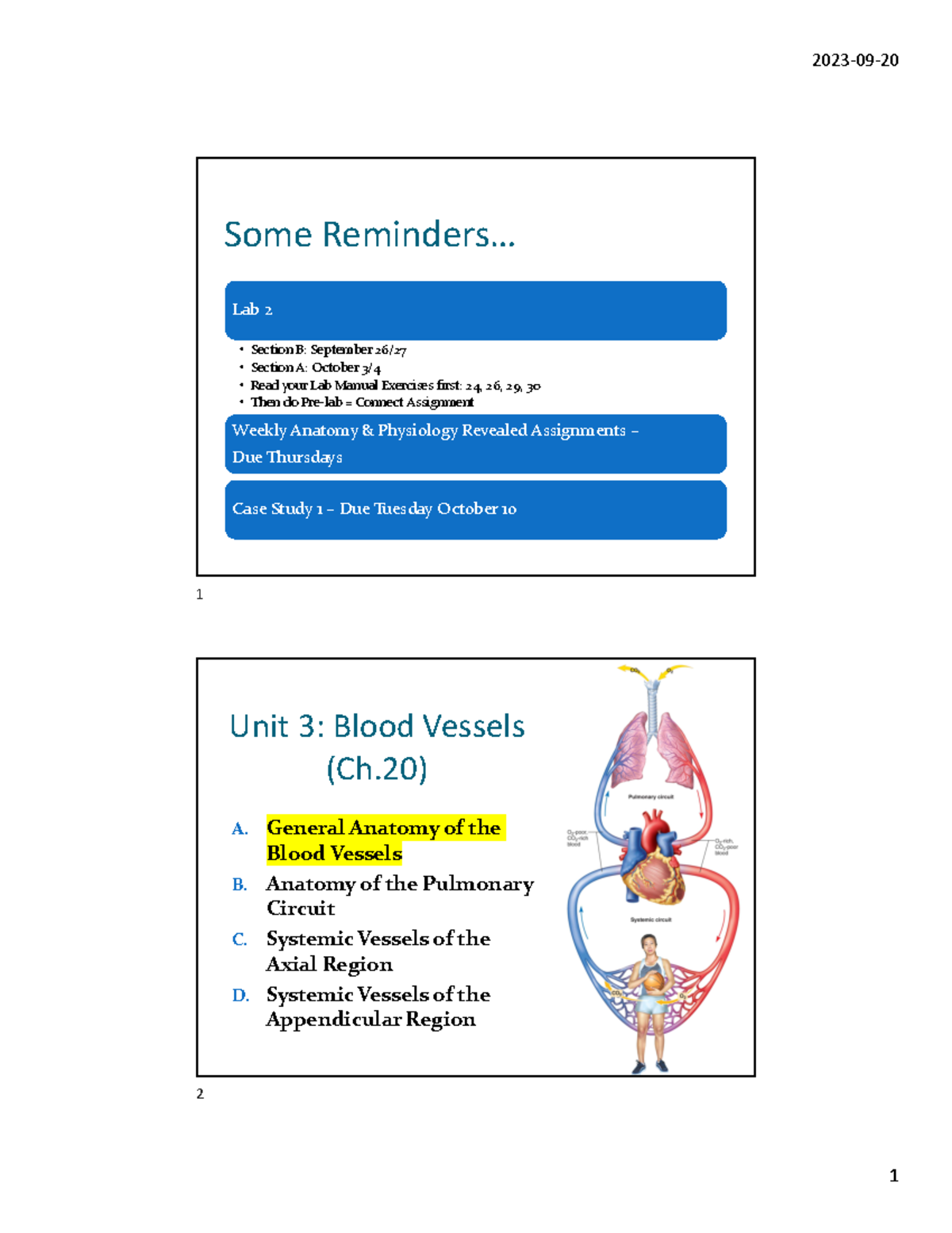 Bio-unit 3 lecture notes Copy - ####### Some Reminders... Lab 2 ...
