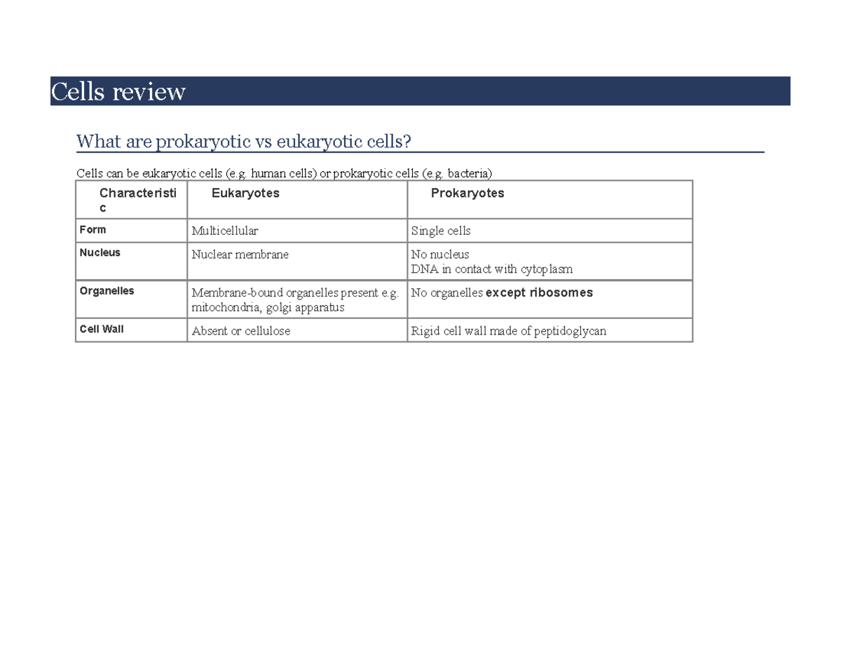 Anatomy review-cells and microbiology - Cells review What are ...