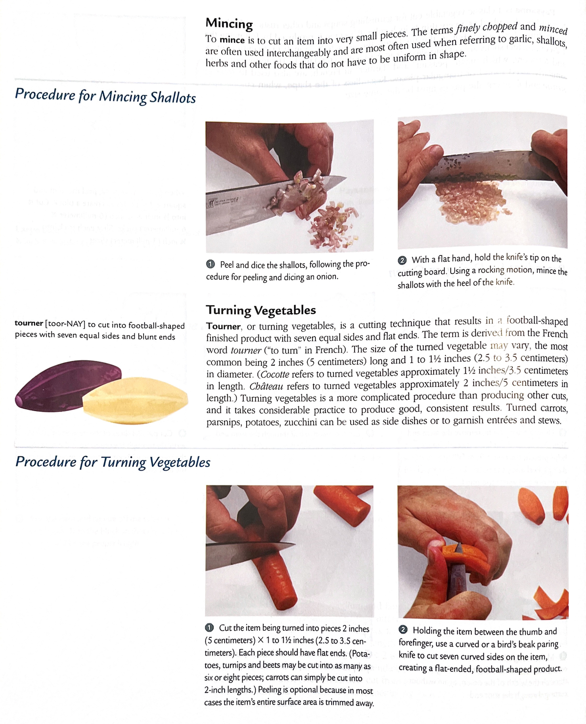 Knife Skills Review 11 - FSS 1203C - Studocu