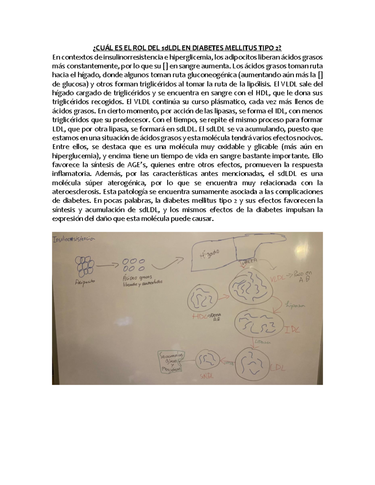 Cuál es el rol del sdLDL en diabetes mellitus tipo 2 - ¿CUÁL ES EL ROL ...
