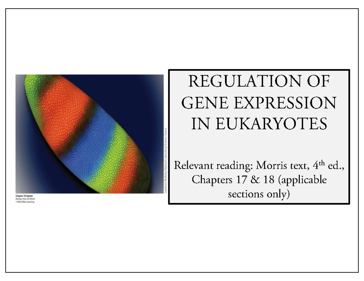Lec 5 - A01-Module 2 (Oct 19) -1 - REGULATION OF GENE EXPRESSION IN ...