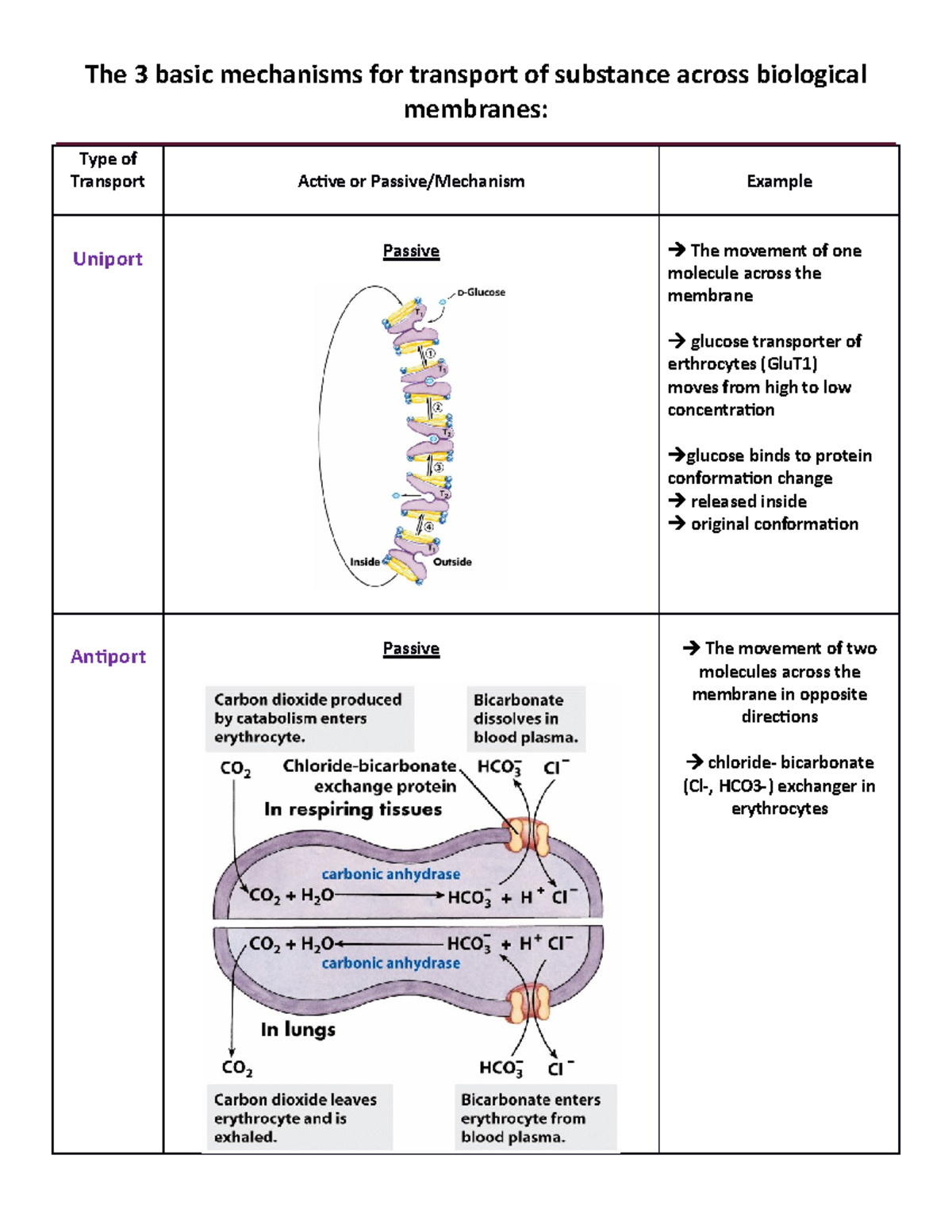 Transport Mechanisms - The 3 basic mechanisms for transport of ...