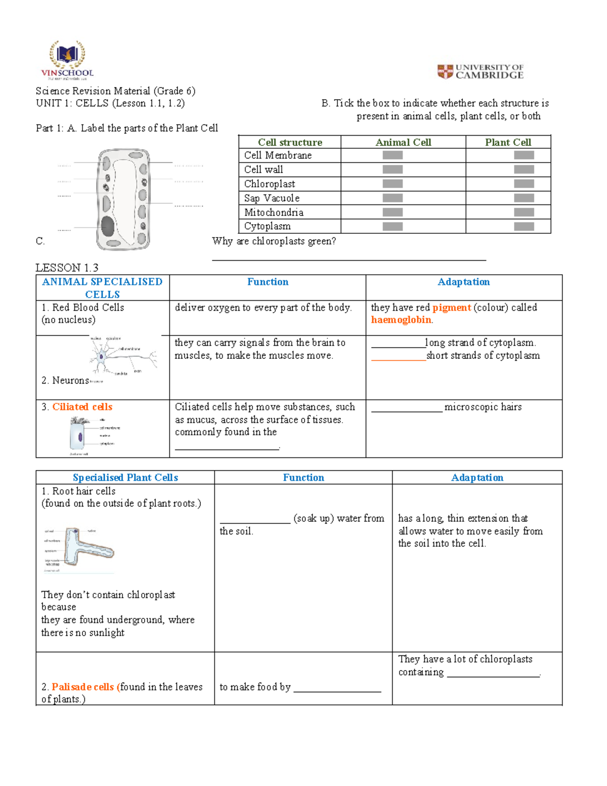 Grade 6 Science Revision Material 2 - Science Revision Material (Grade ...