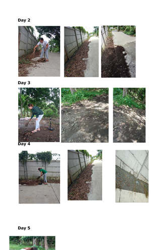 Toprinttupadraymond - shdgsa - BS Psychology - Day 2 Day 3 Day 4 Day 2 ...