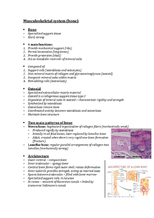 Histoweb - Macroscopic for relations of the periost 1 harvesian system ...