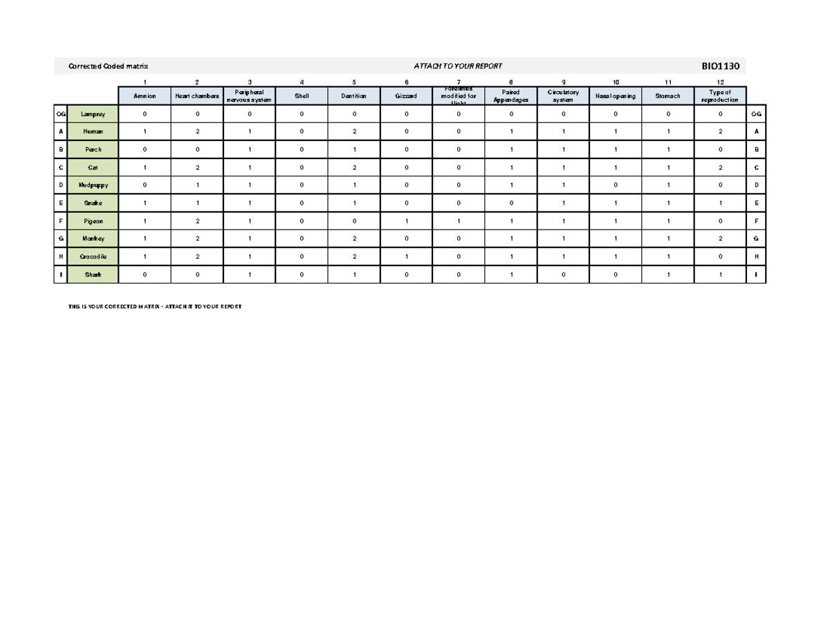 Correction matrix Arnav Jitendra - Corrected Coded matrix ATTACH TO ...