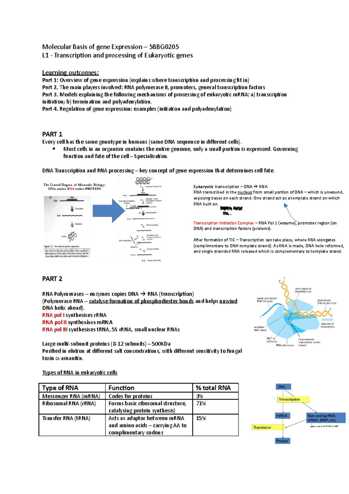 L1 (5BBG0205) - Molecular Basis of gene Expression – 5BBG L1 ...