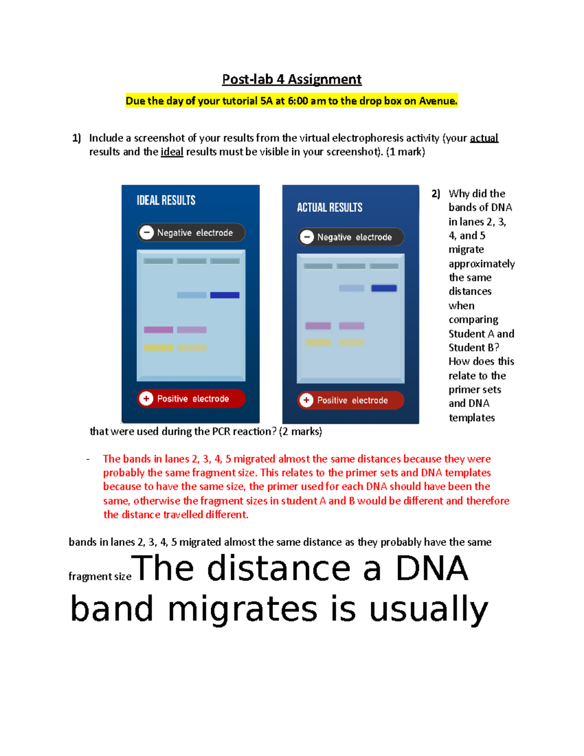 Post lab 4 Assignment - Post-lab 4 Assignment Due the day of your tutorial 5A at 6:00 am to the ...