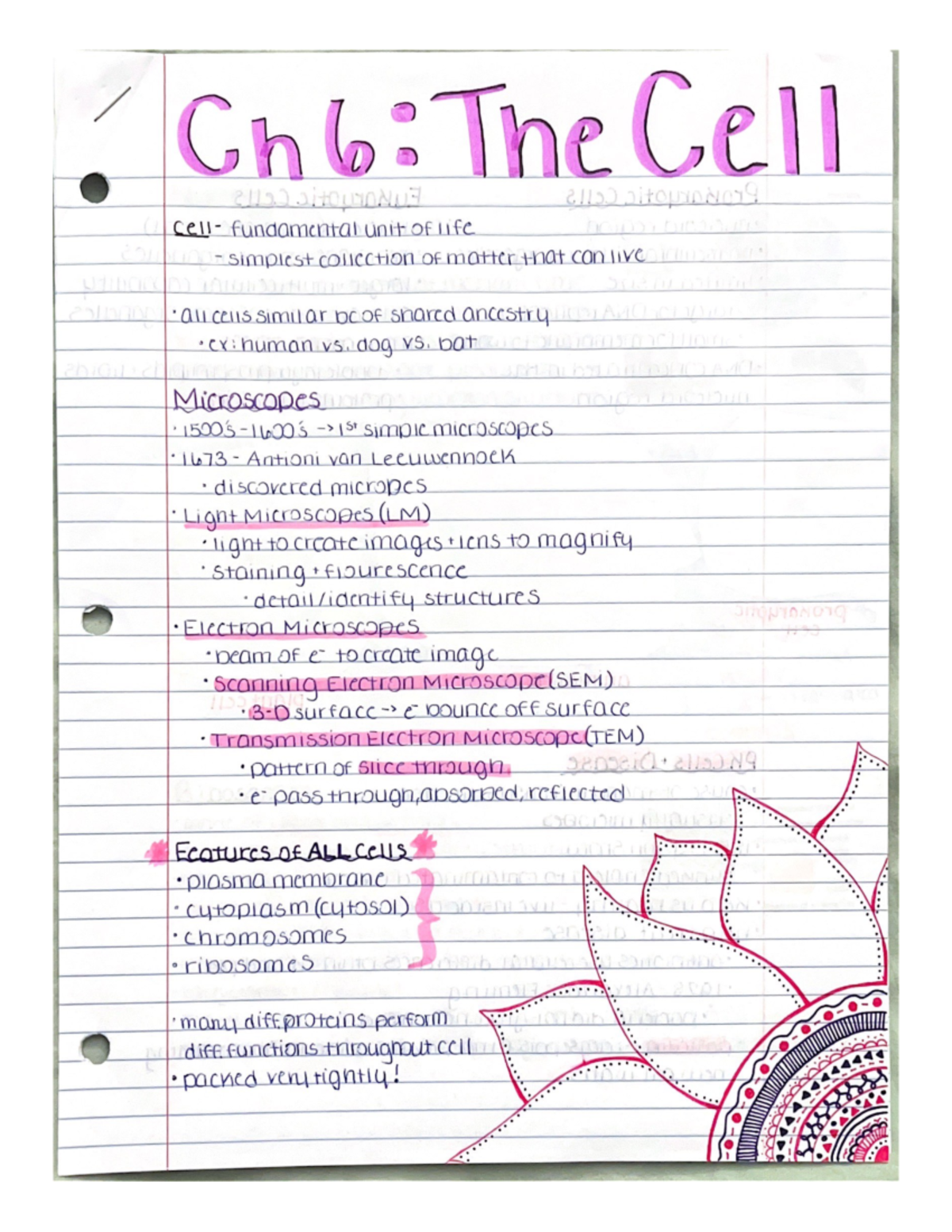 Chapter 6 - BIO 113 - Studocu