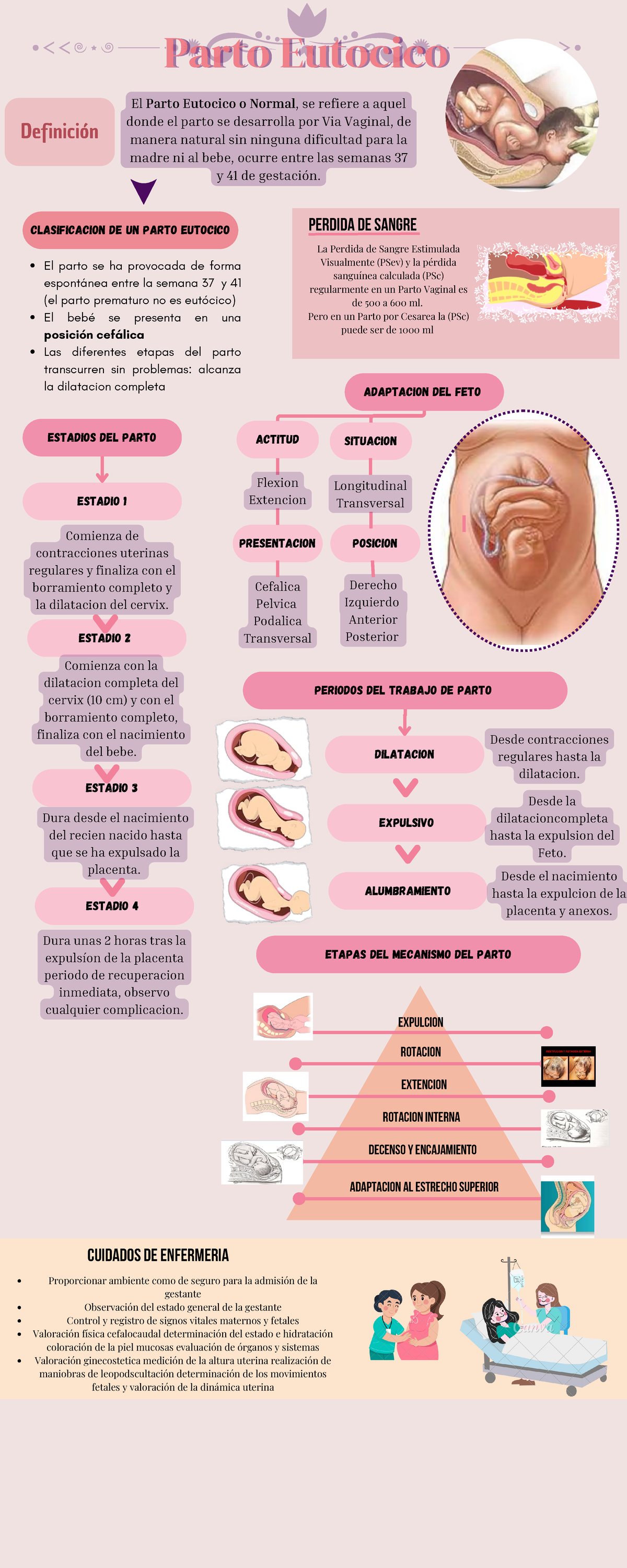 Infografía Parto eutocico y distocico - Definición CLASIFICACION DE UN ...