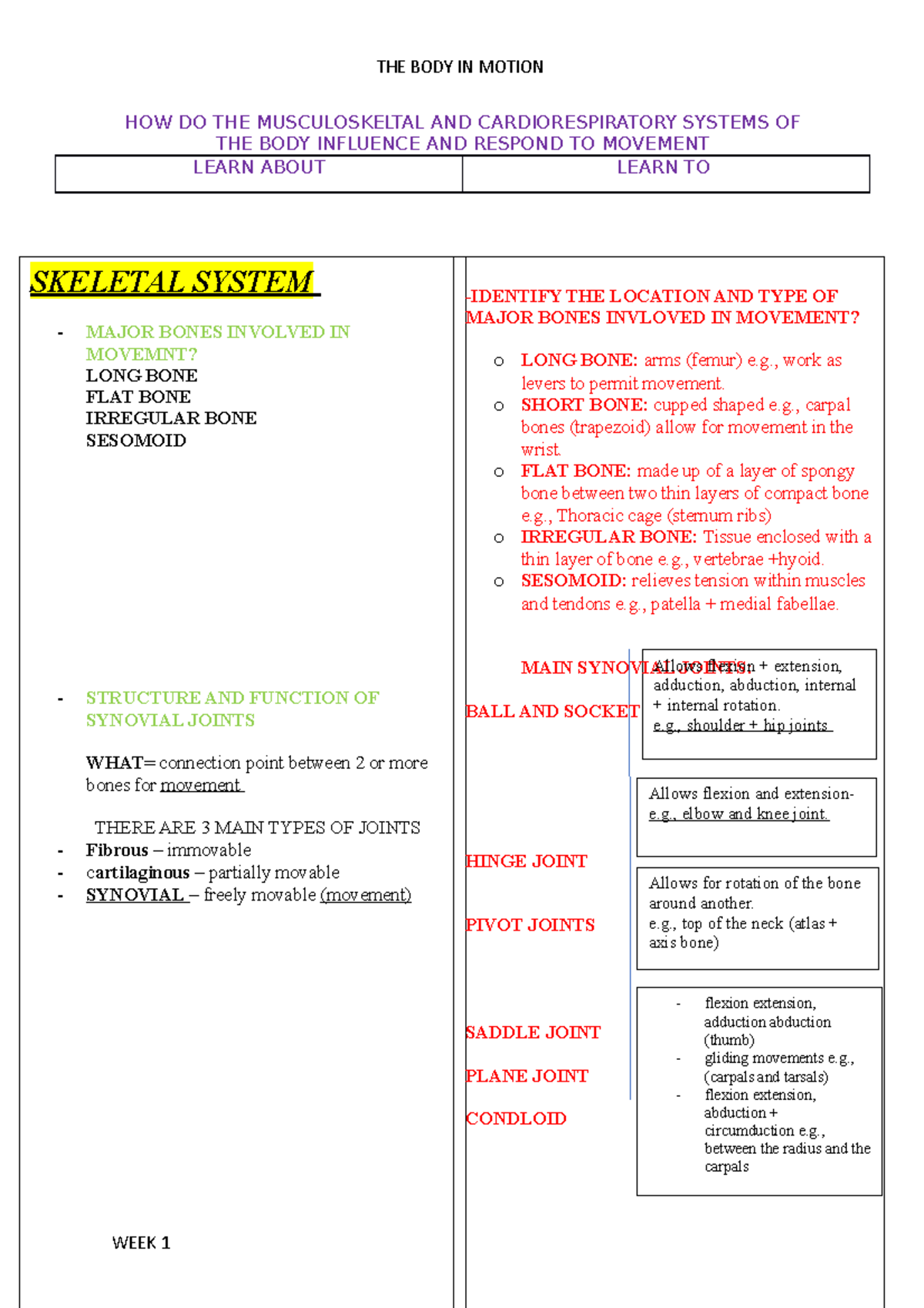 Pdhpe Stufy Notes TERM 2 week 5 - HOW DO THE MUSCULOSKELTAL AND ...