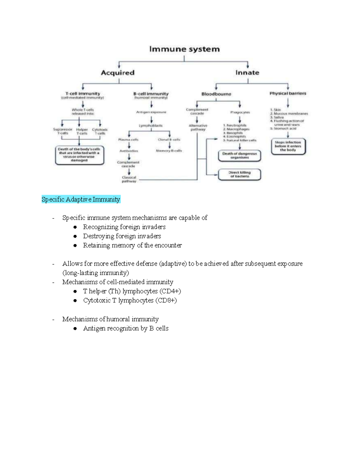 GNUR 293- Specific Adaptive Immunity (Part 1) - Specific Adaptive Immunity Specific immune ...