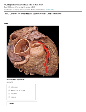 PAL Chapter Exercises Cardiovascular System - Blood Vessels - Grading ...