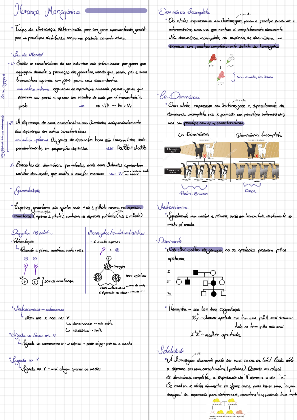 Genética Animal Resumo - Genética Médica - Studocu