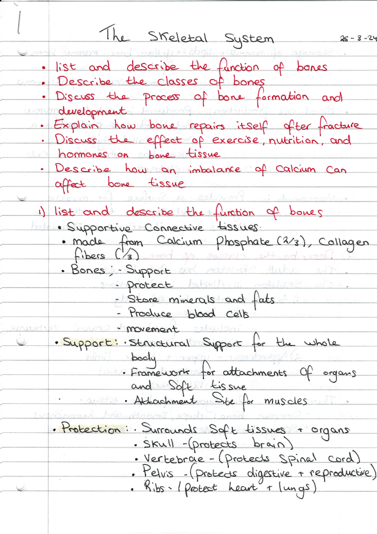 The skeletal system revision notes - MOST5017 - Studocu