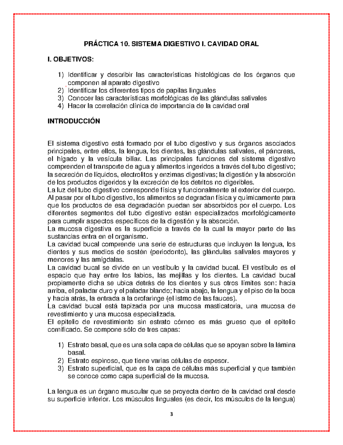 Práctica Sistema Digestivo - Warning: TT: undefined function: 32 Warning: TT: undefined function ...