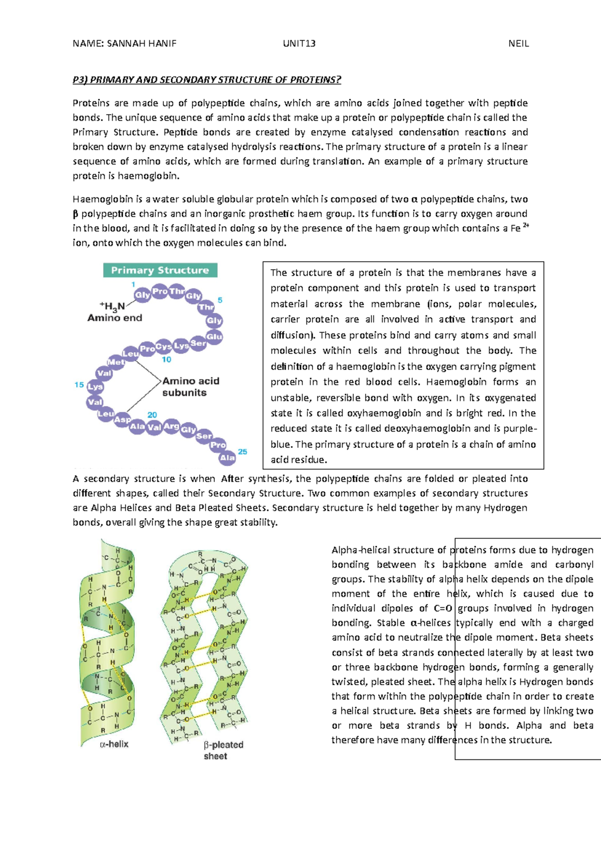 Proteins explained in detail - P3) PRIMARY AND SECONDARY STRUCTURE OF ...