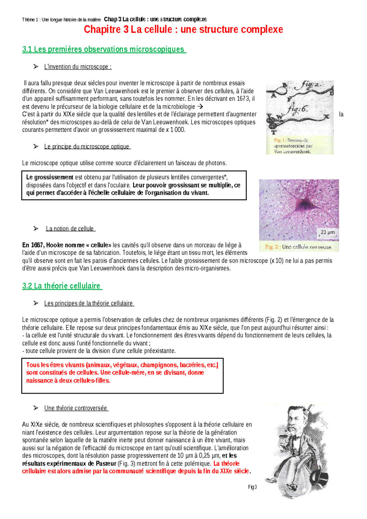 Cours 3 cellule structure complexe - Thème 1 : Une longue histoire de ...