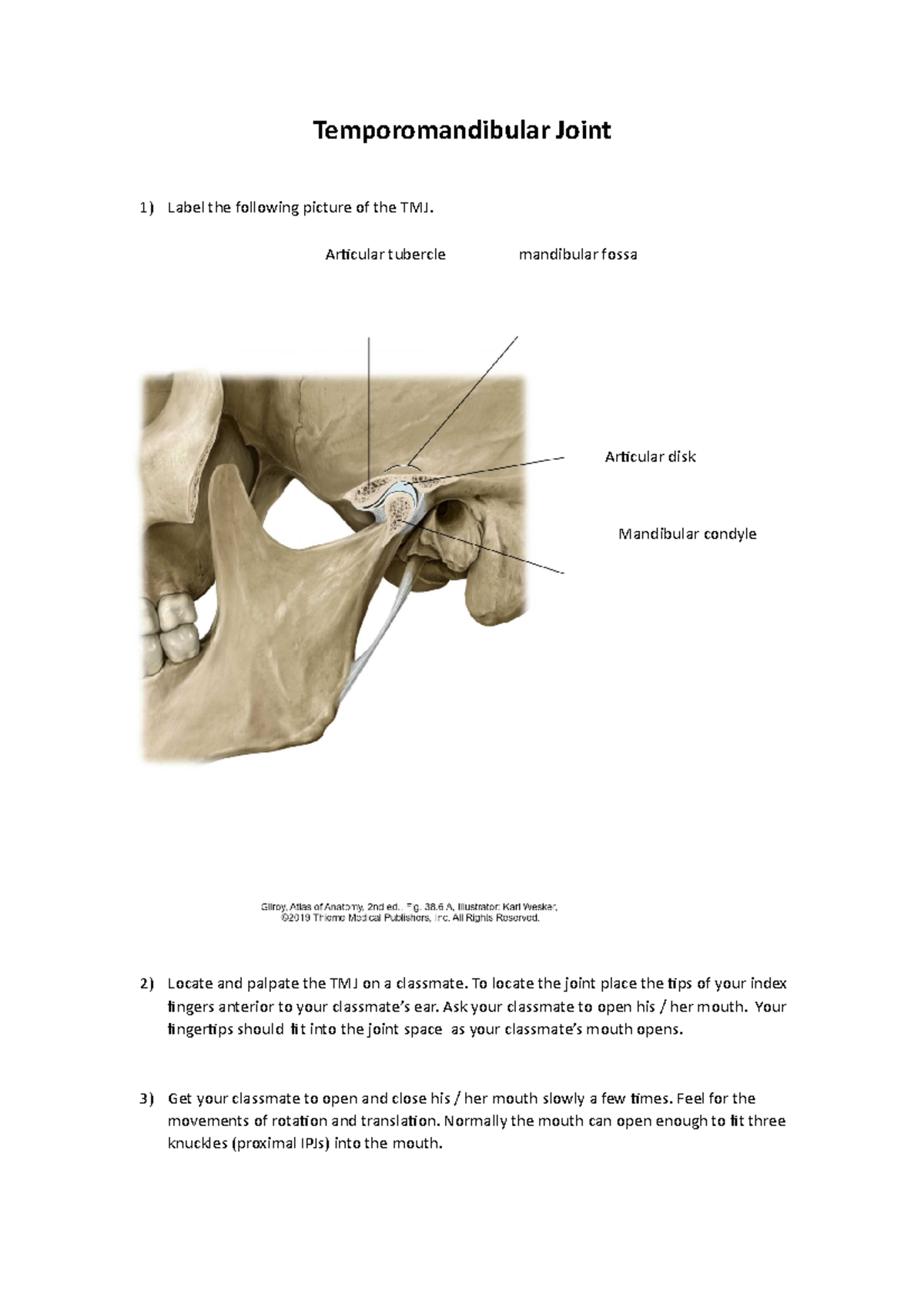 Temporomandibular Joint Worksheet - Temporomandibular Joint Label the ...