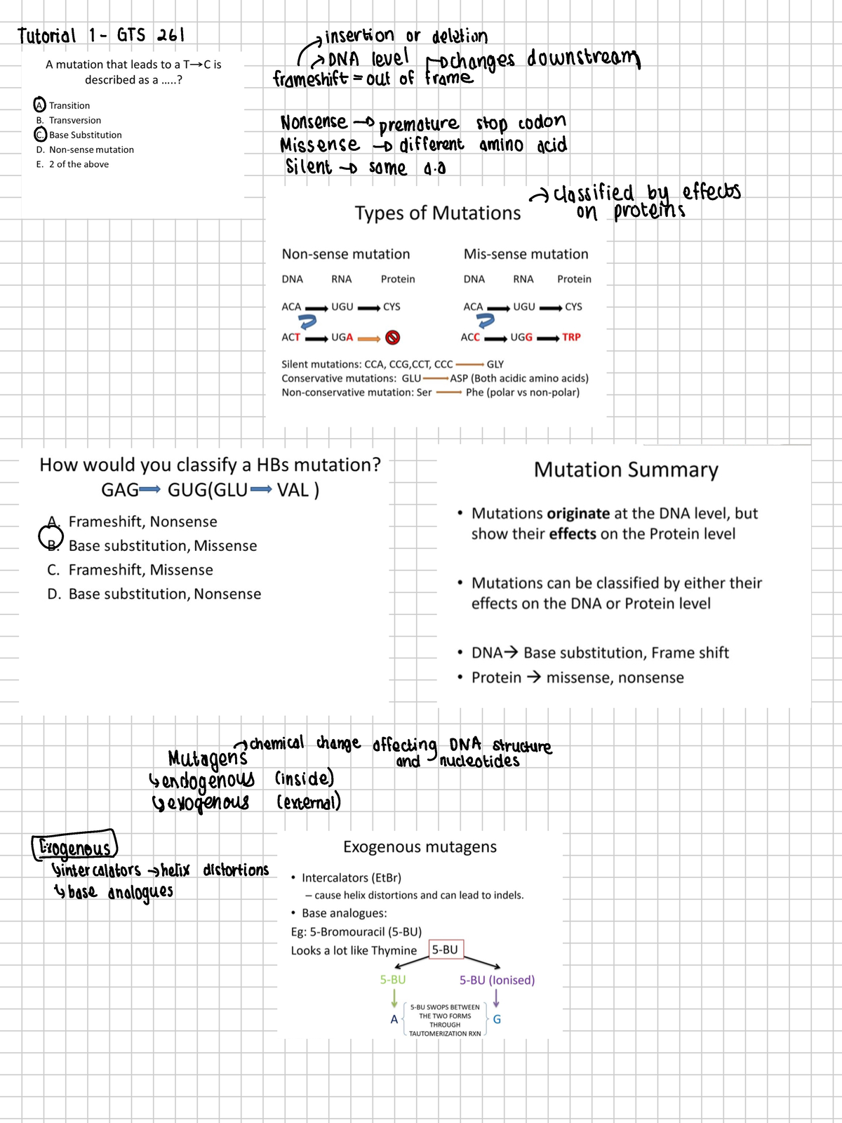 Tutorial 1 - GTS 261 - tutorial GTS 261 insertion or deletion A ...