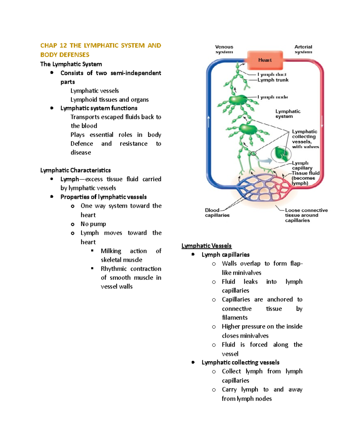 CHAP 12 - LYMPHATIC SYSTEM AND BODY DEFENSES The Lymphatic System ...
