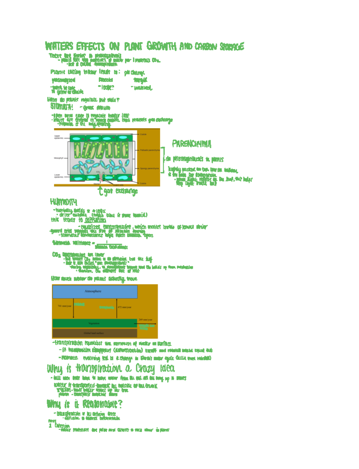 Bio mod 2 - Climate Change module mod notes - WATERS EFFECTS ON PLANT ...