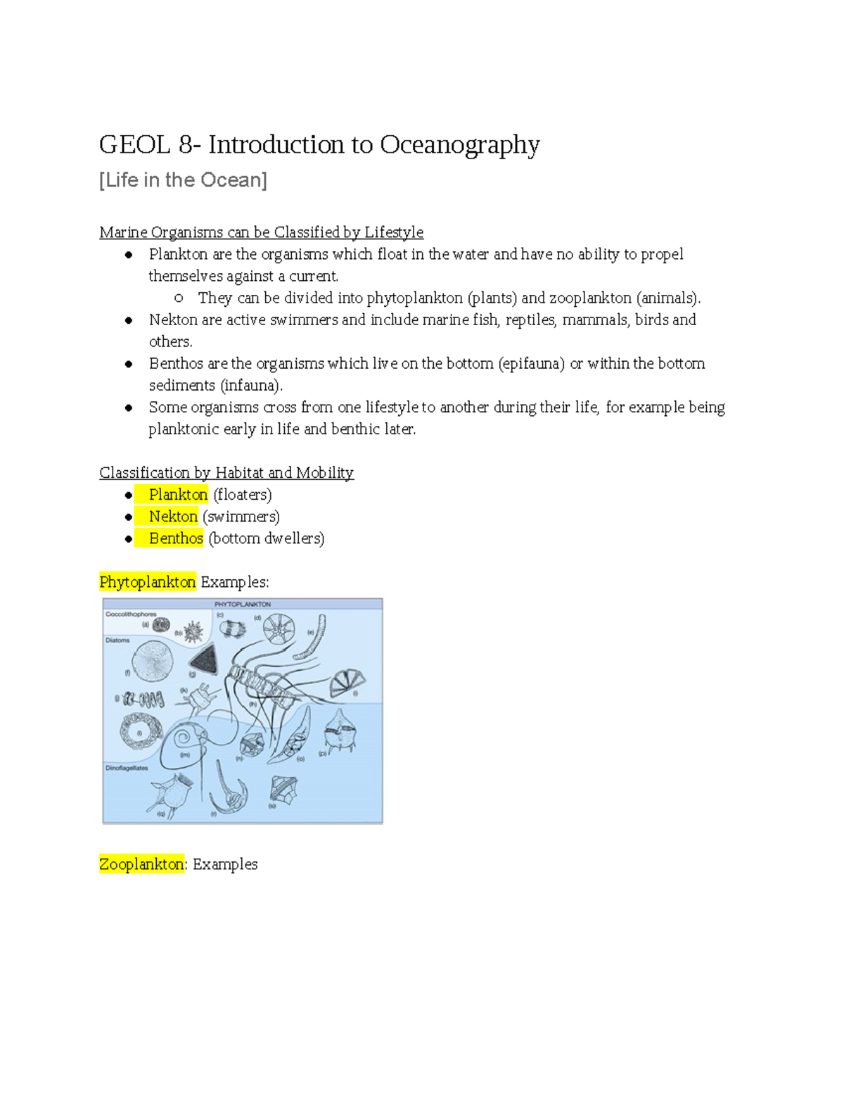 2020-Intro to Oceanography-Life in the Ocean notes week15 - GEOL 8 ...