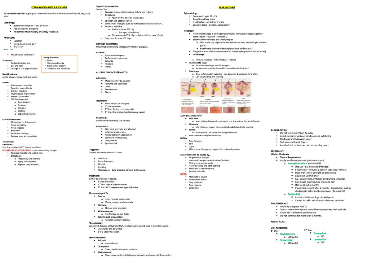 Excema and acne - central nervous system and gut notes - PY5030 - KUL ...